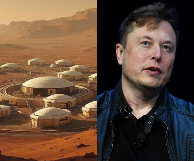 Elon Musk’s Secret Martian Garden Could Pave the Way for Sustainable ...